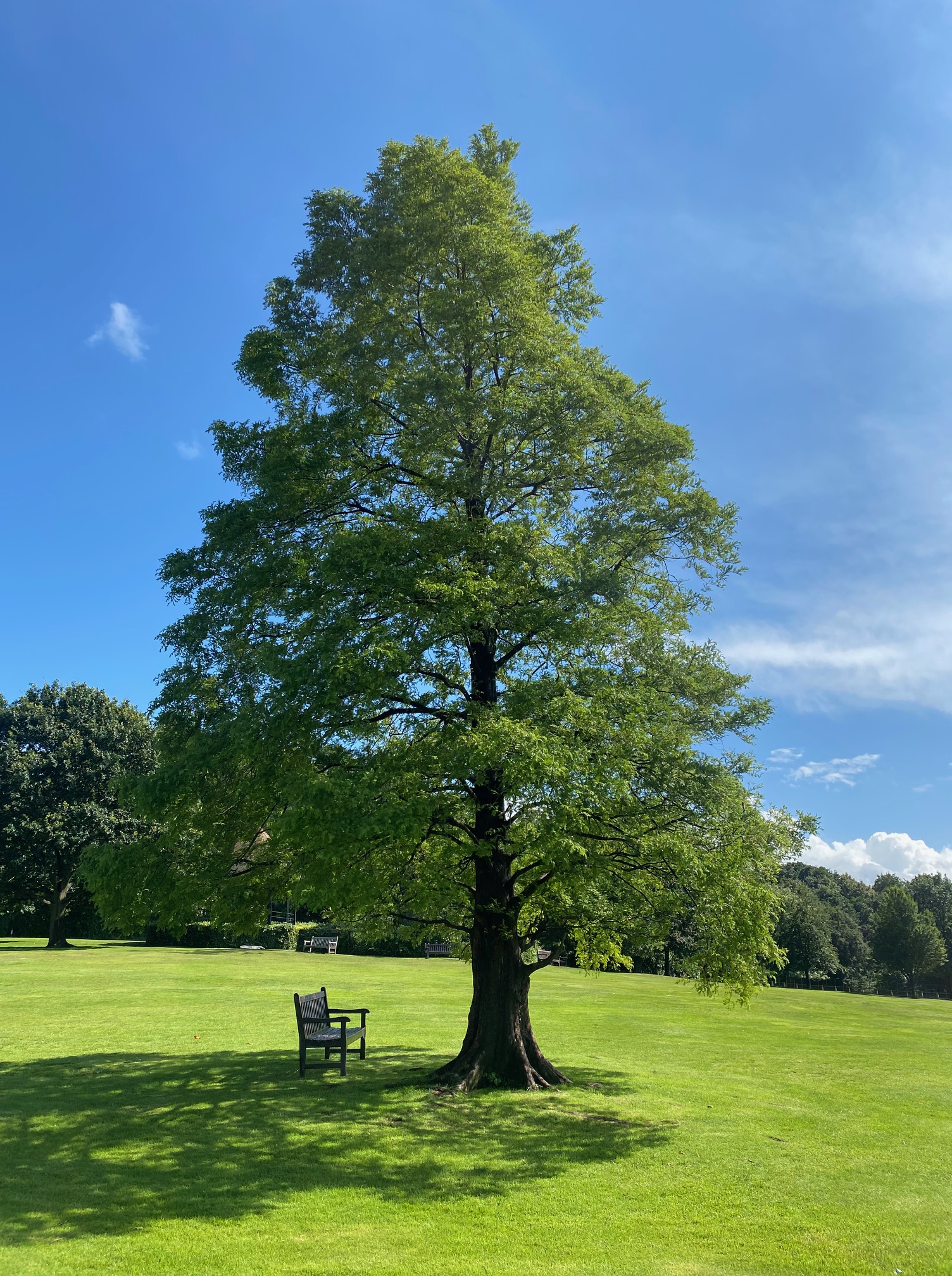 Explore the history of Alexandra Park – North London Walks